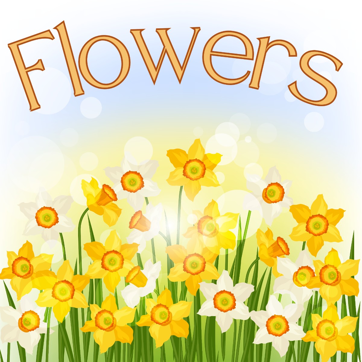 Altar & Rosary Society